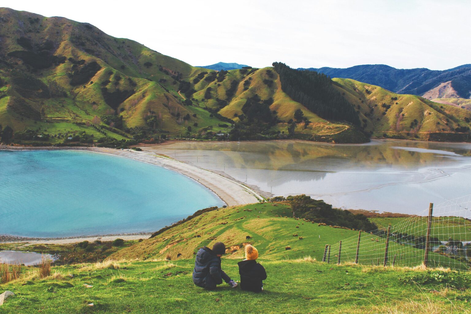 Leading AoG Contract Specialists in New Zealand | Cavell Leitch Lawyers